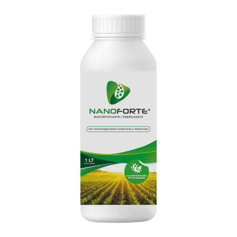 NANOFORTE 1 LT - Pewman Innovation